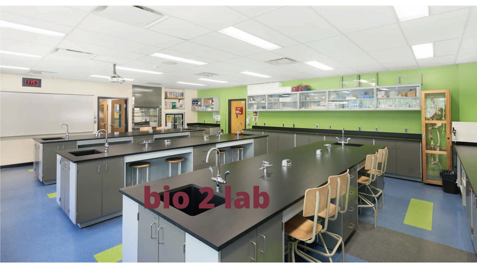 101BNBLB - W2025 | SLC